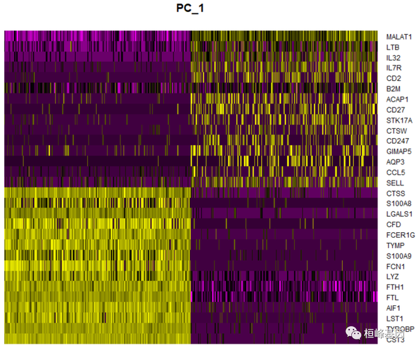 SCS【4】单细胞转录组数据可视化分析 (Seurat 4.0) - 知乎