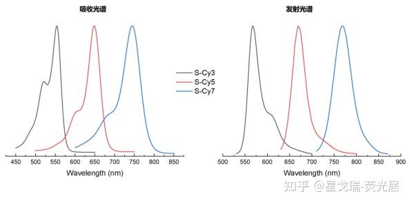 Sulfo-Cyanine7 NHS磺化CY7标记1603861-95-5应用之必须用水溶性Cy染料情况 - 知乎