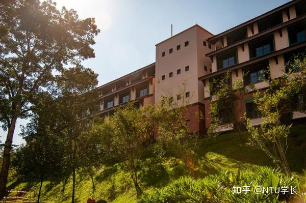 NTU究竟有多美 美到随手拍都是大片 - 知乎
