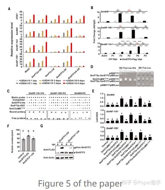 发现已经发表的sci有个小错误该怎么办？ - 知乎