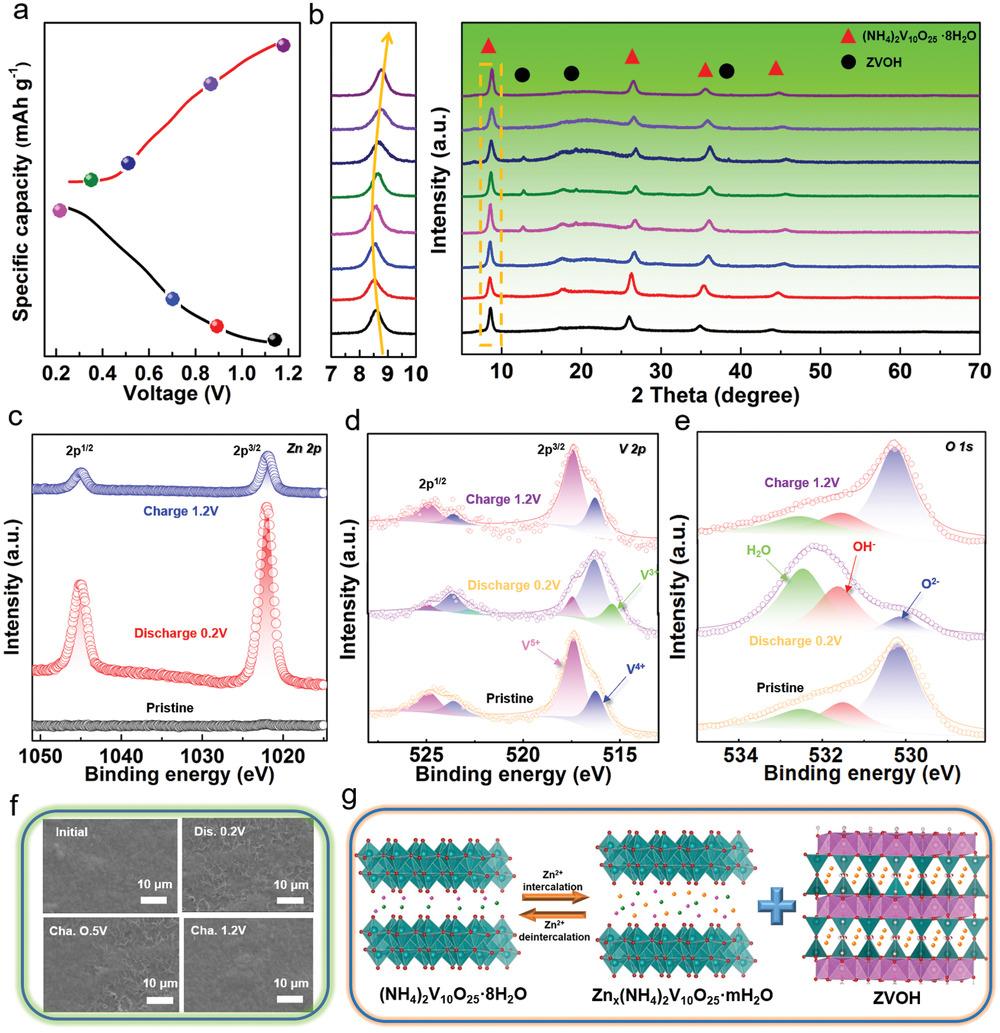 AFM：Ti3C2Tx MXene和水合钒酸铵制备超高能量密度和稳定的无枝晶柔性负极用于水性锌离子电池 - 知乎