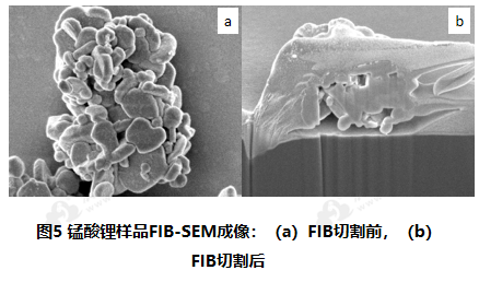 FIB-SEM的原理及应用 - 知乎