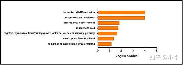 Go（Gene Ontology） analysis——“生信分析”基础四 - 知乎