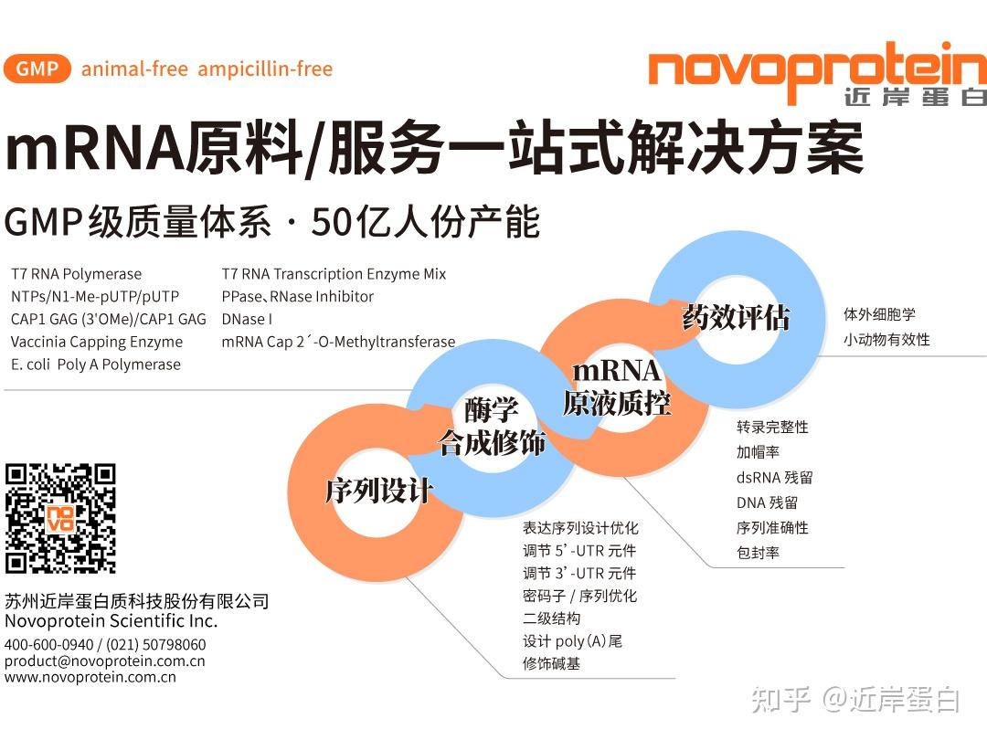 近岸蛋白发布“一管式”高效mRNA合成工艺 - 知乎