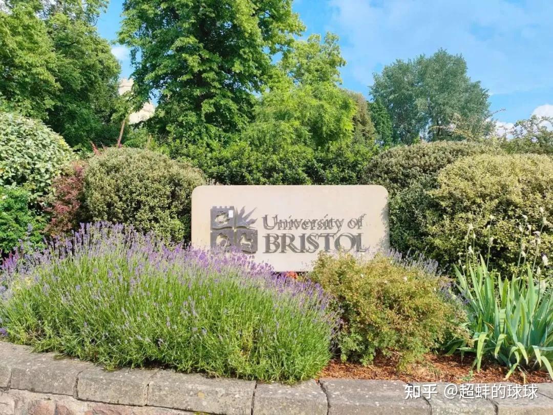 【球仔入读体验】布里斯托大学 23fall国际商法 - 知乎