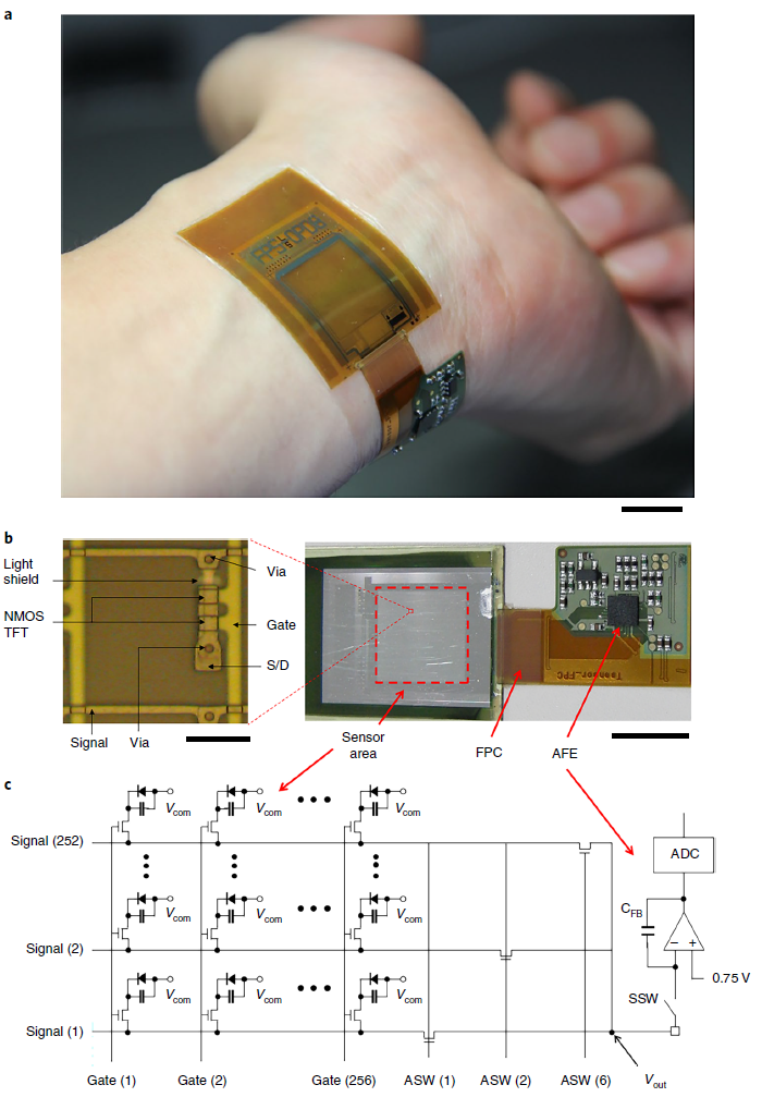 介绍一位柔性电子大牛！引用次数超过35000，h因子80+ - 知乎