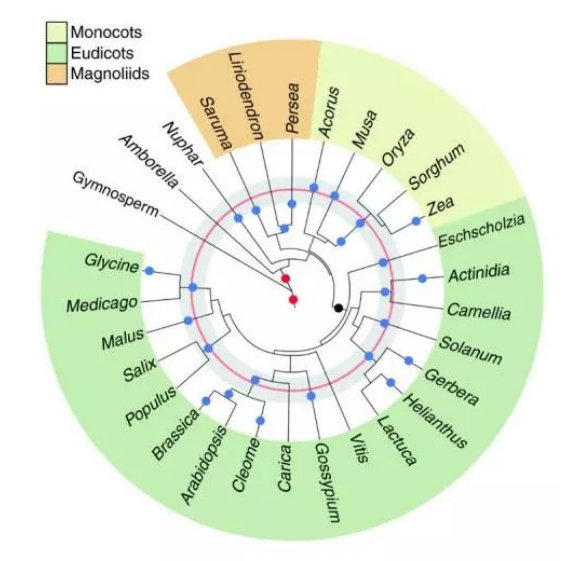 Mothur4进阶_Mothur扩增子基因序列处理_物种注释及发育分析 - 知乎