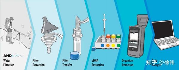背负式水体基因采样器（eDNA采样系统） - 知乎