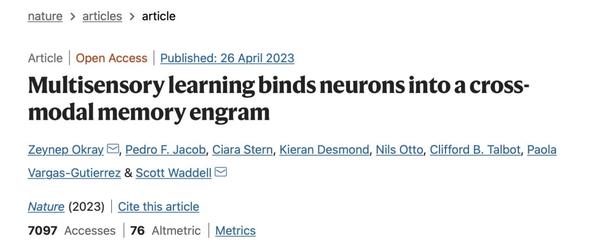 Nature：如何加深学习记忆？研究显示多感官学习可以提高记忆力！ - 知乎