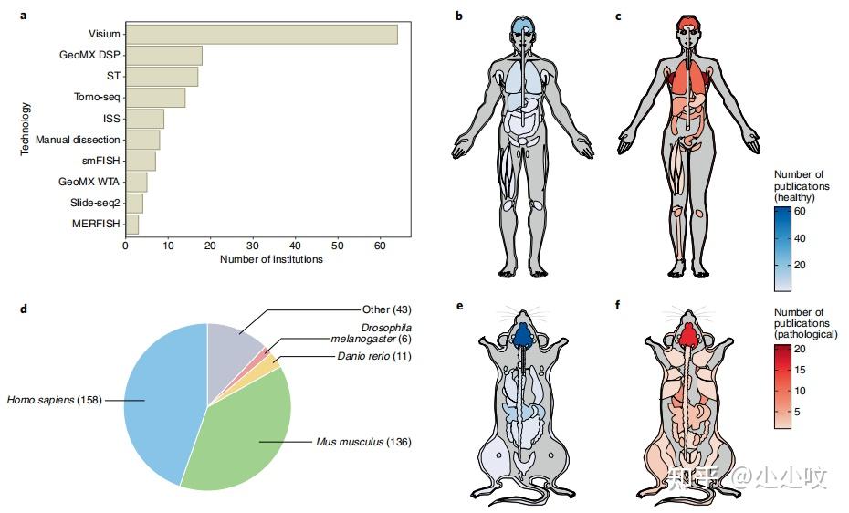 热点综述 | Nature子刊：Museum of spatial transcriptomics - 知乎