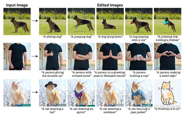 【AIGC第二十篇】Imagic：基于文本的图像编辑技术 - 知乎