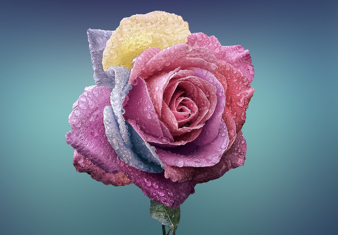 lesson 97 a small blue case - 知乎