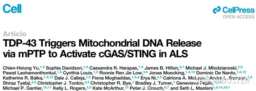 TDP-43，登顶Cell 的新热点蛋白 - 知乎
