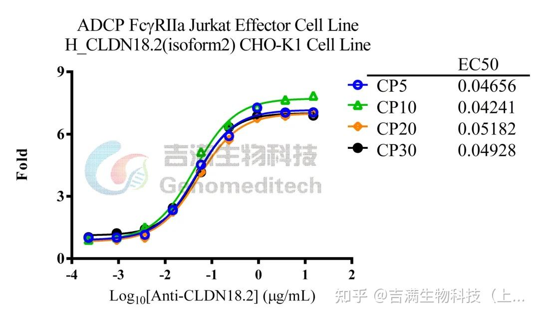 一文读懂抗体：结构、分类与ADCC/ ADCP/ CDC机制 - 知乎