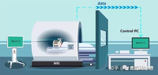 磁共振脑功能成像——任务态fMRI简介 - 知乎