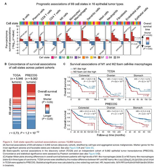 10X单细胞空间数据分析之表征细胞状态和生态型（EcoTyper） - 知乎