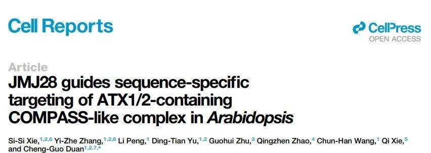 Cell Reports︱中科院段成国团队揭示拟南芥ATX1/2-COMPASS-like复合体位点特异性识别的新机制 - 知乎