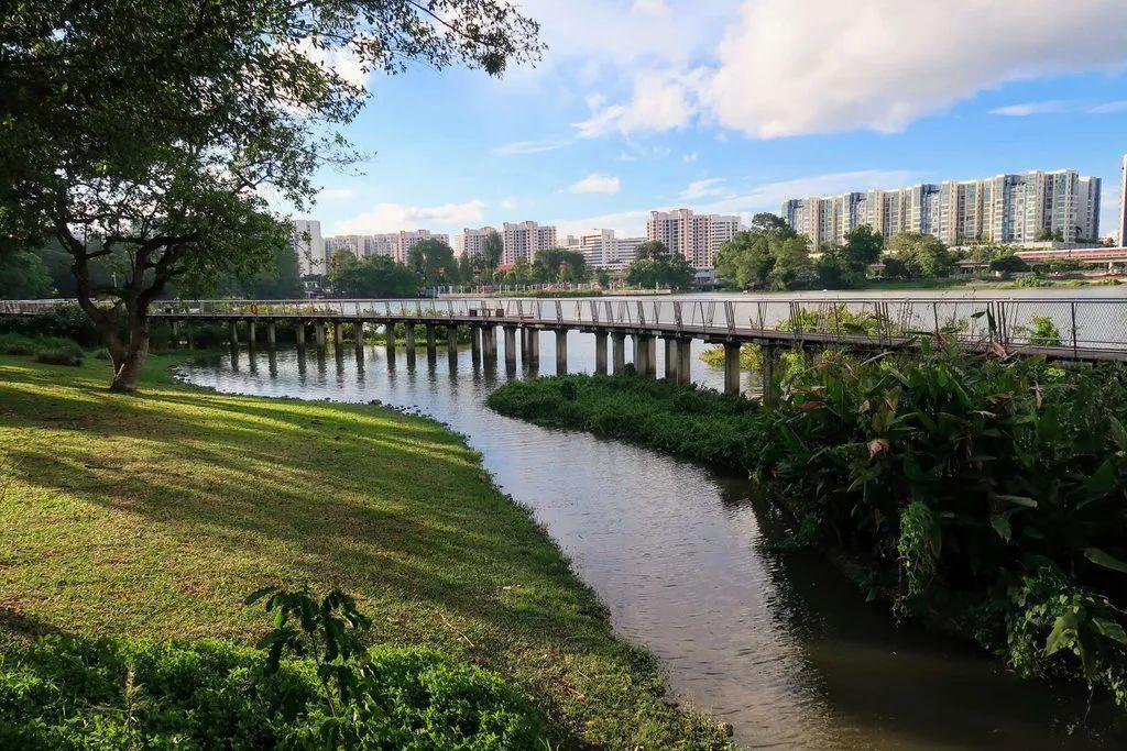 中心地带的第一个国家花园-新加坡Jurong Lake Gardens - 知乎