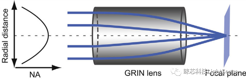 什么是自聚焦透镜Grin Lens？ - 知乎