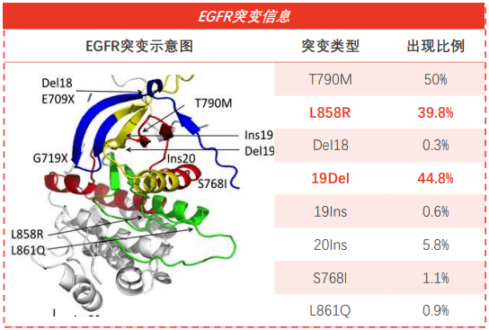 “肺癌王者”的第三代EGFR-TIK获批，百亿黄金赛道卷上天 - 知乎