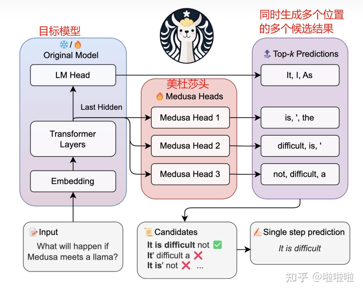 大模型推理加速：投机算法梳理与EAGLE-3介绍 - 知乎
