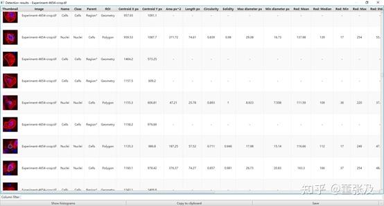 使用QuPath+Cellpose+StarDist分析蛋白入核比率 - 知乎