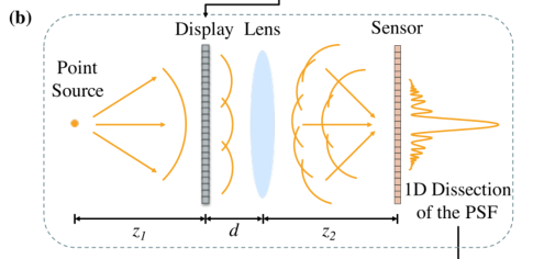 Removing Diffraction Image Artifacts in Under-Display Camera via Dynamic Skip Connection ...