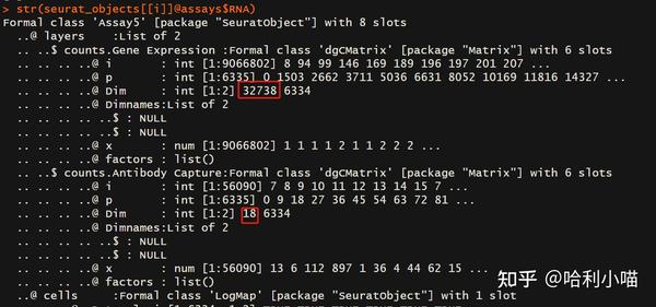 Seurat v5 objects 转换 SingleCellExperiment objects - 知乎