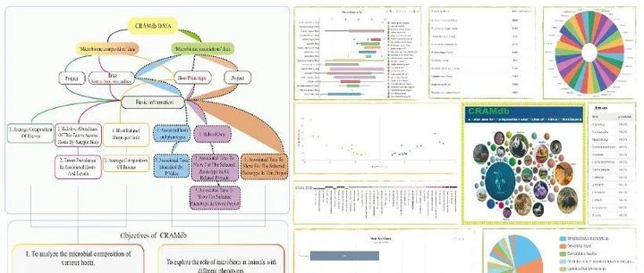 又一篇NAR | 动物宏微生物组组成与功能综合数据库CRAMdb发布 - 知乎