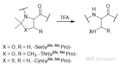 常见多肽杂质类型、形成机理及应对方案 - 知乎