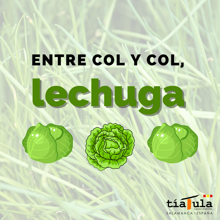 西语表达式里的"Entre col y col, lechuga"究竟想表达什么？ - 知乎