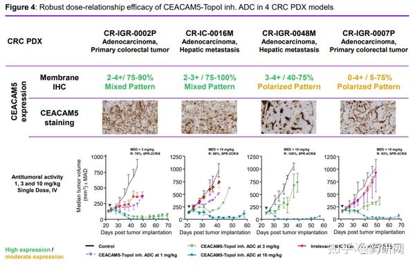Seagen/Sanofi启动CEACAM5 ADC临床 - 知乎