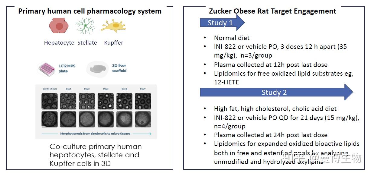 CN-Bio器官芯片应用—NASH IND申报案例_上海曼博生物代理 - 知乎