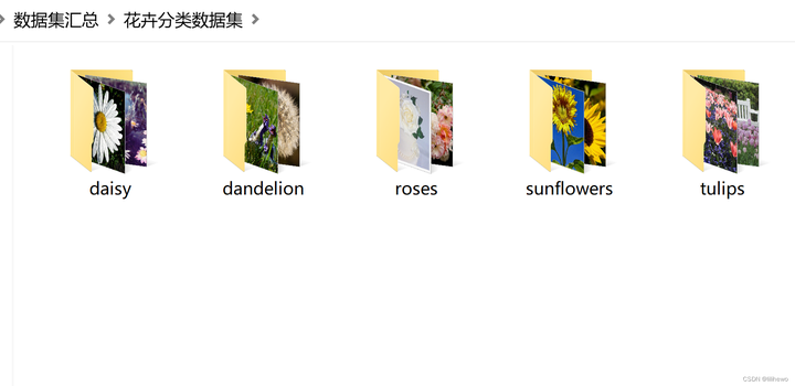 花卉分类数据集分享 - 知乎