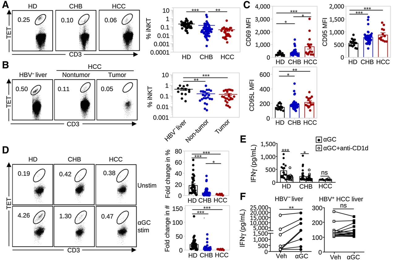 项目文章｜iNKT细胞免疫疗法疗效不佳？都是iNKT细胞衰老惹的祸！ - 知乎