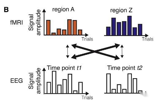文献｜Neuron：M/EEG和fMRI的融合能够帮助我们同时了解到人脑在时空上的反应 - 知乎