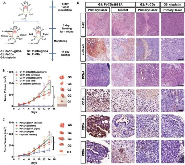 Adv. Sci.: 光催化Pt(IV)配位碳点用于精准肿瘤治疗 - 知乎