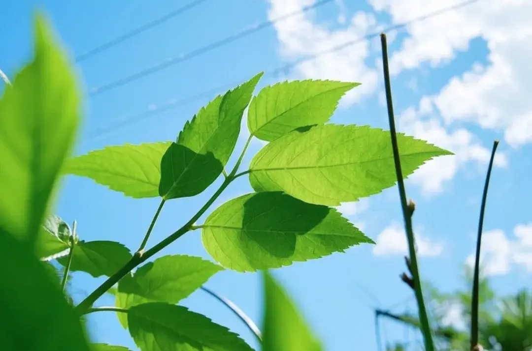 ModelScope魔搭25年8月发布月报 - 知乎