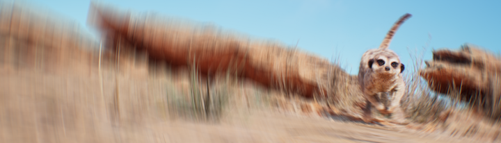 [UE4/ UE5]在动画编辑器视口下预览摄像机晃动Camera （一）-源码分析 - 知乎
