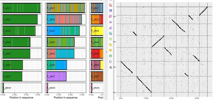 minimap2序列比对(pfar包可视化) - 知乎