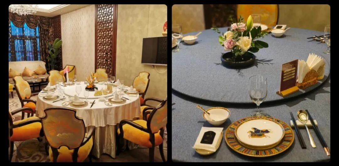 第一期「杨Sir宠物圈·秘聊饭局」上海亚宠展 - 知乎