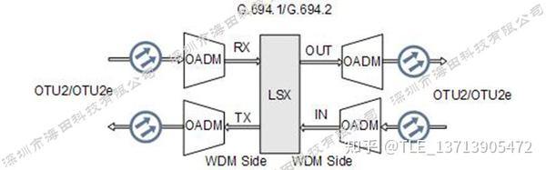 TNF1LSX_TNF2LSX 10Gbit/s波长转换板 - 知乎