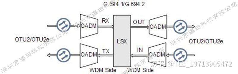 TNF1LSX_TNF2LSX 10Gbit/s波长转换板 - 知乎