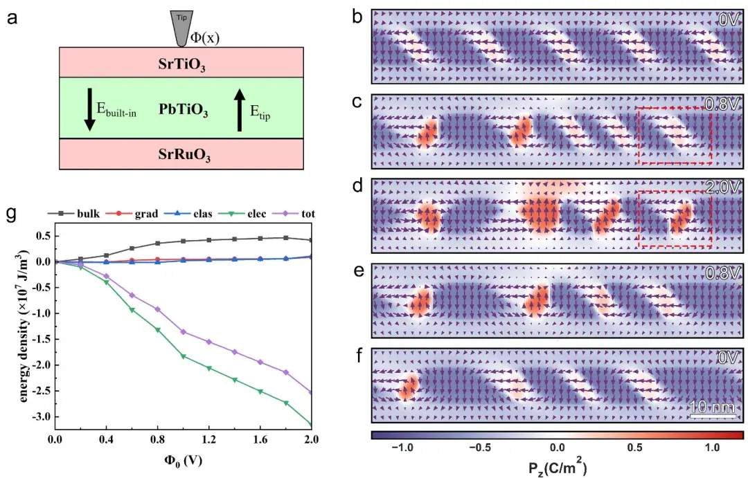 泽攸科技原位TEM实现铁电极化拓扑畴的电场调控-泽攸科技