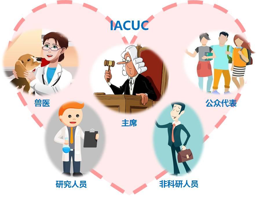 【小鼠大学问】没有IACUC号，投稿有困难！ - 知乎