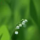 LAMMPS命令pair_style - 知乎