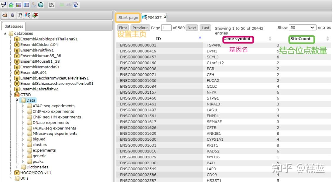 GTRD预测转录因子靶基因 - 知乎