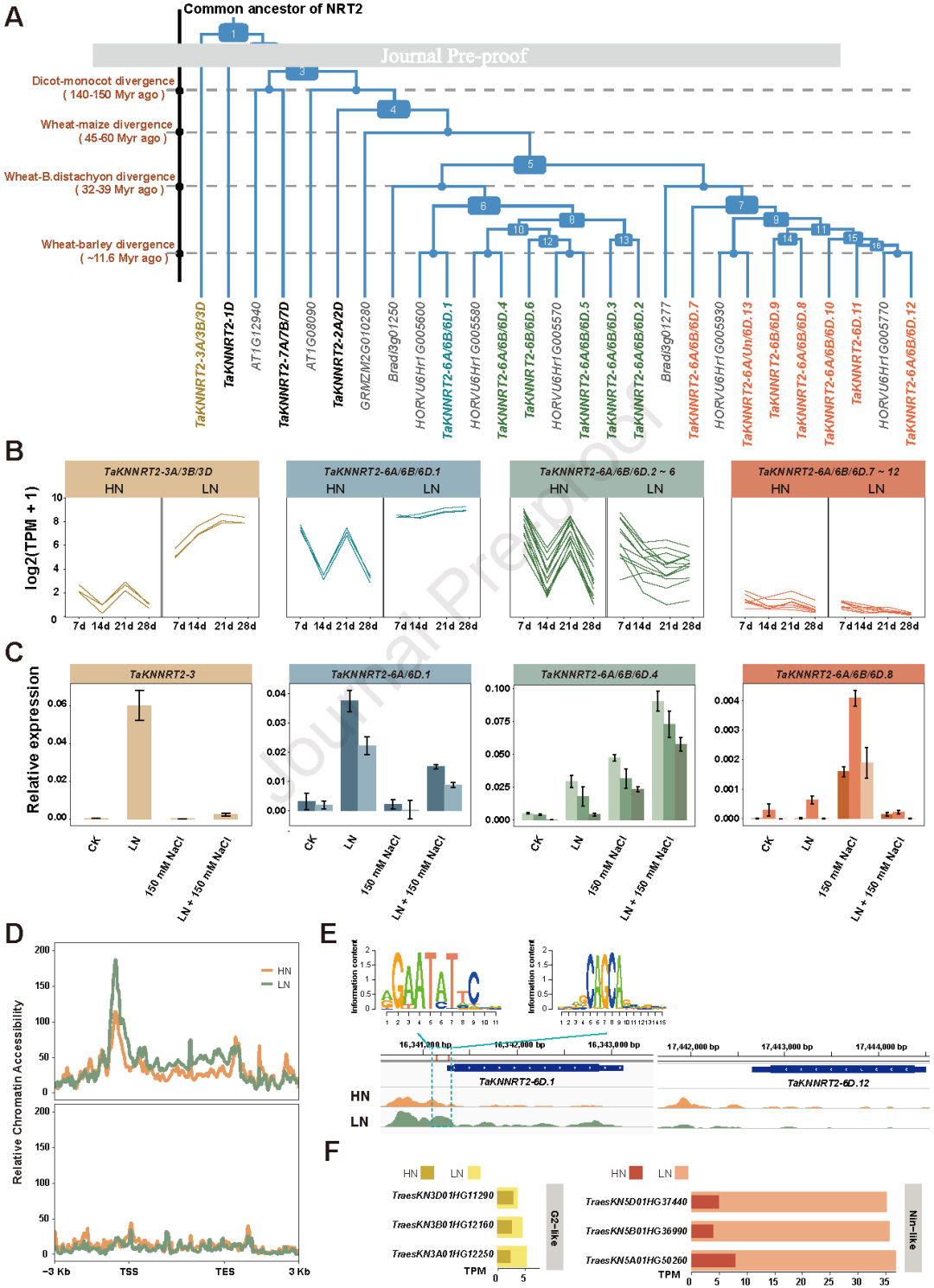 《Molecular Plant》新思路：比较转录组+比较基因组研究小麦高效氮利用分子机制 - 知乎