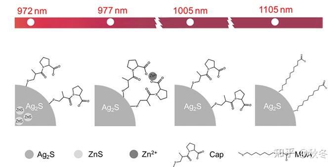 Ag2S QDs，硒化银量子Ag2Se QDs（近红外二区荧光量子点） - 知乎